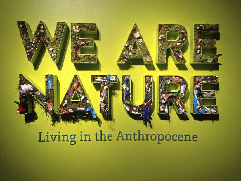 175543federoffCMNH01