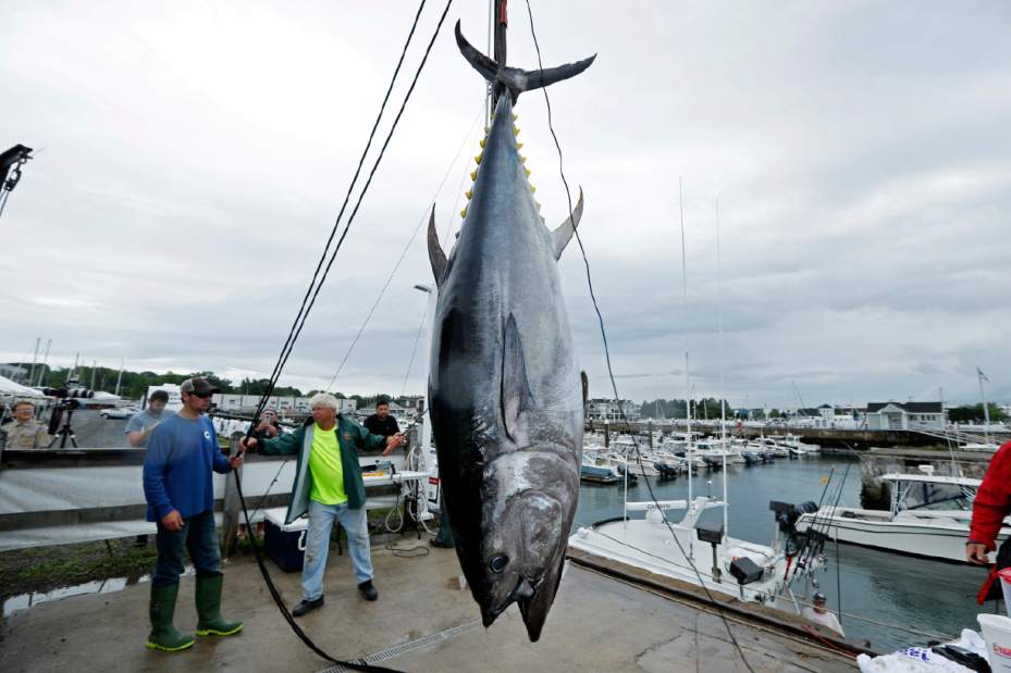 177389177389e0c7c271af9e415fbe3e87d57cd3f04f