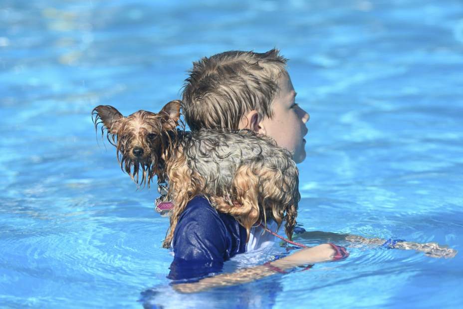 194773VNDDoggieDip101090518