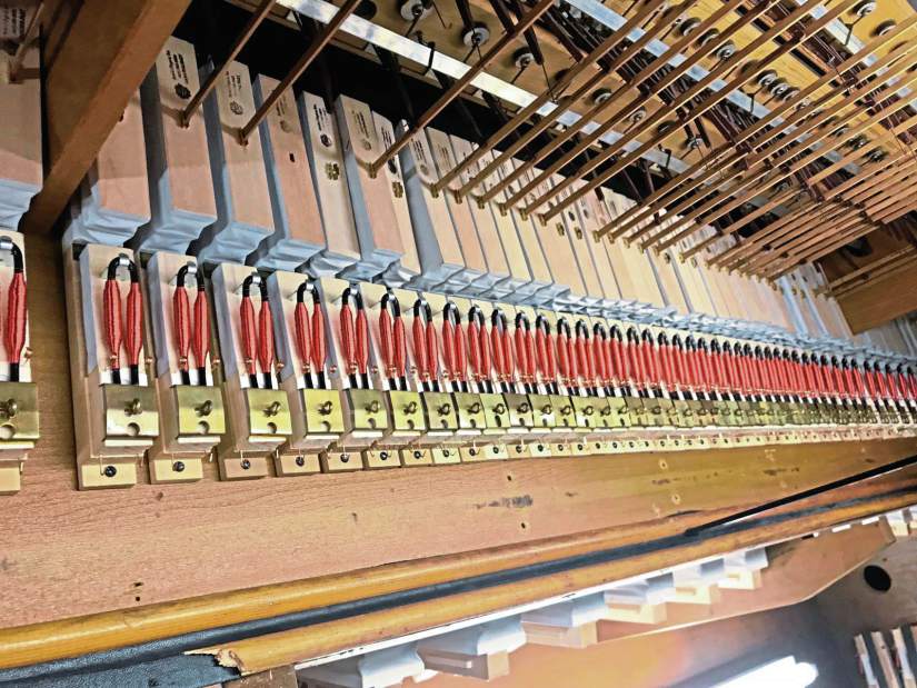 353680sjorgans4110118