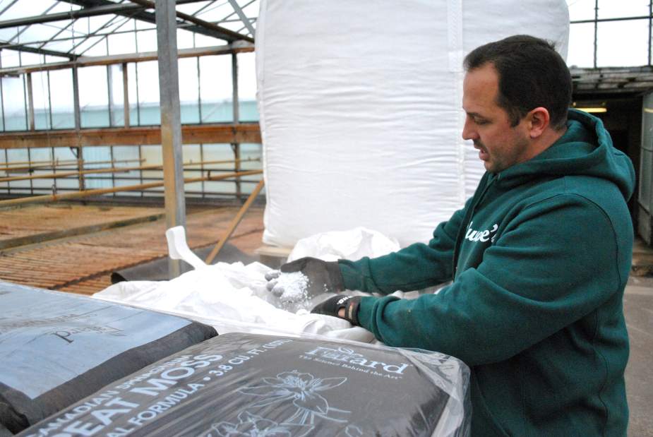 DCcelluraletwo020215