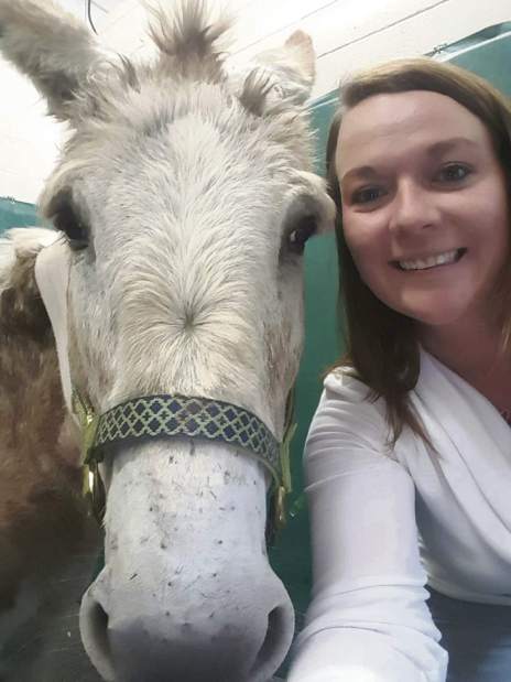 Gtrdonkeysuit1092916