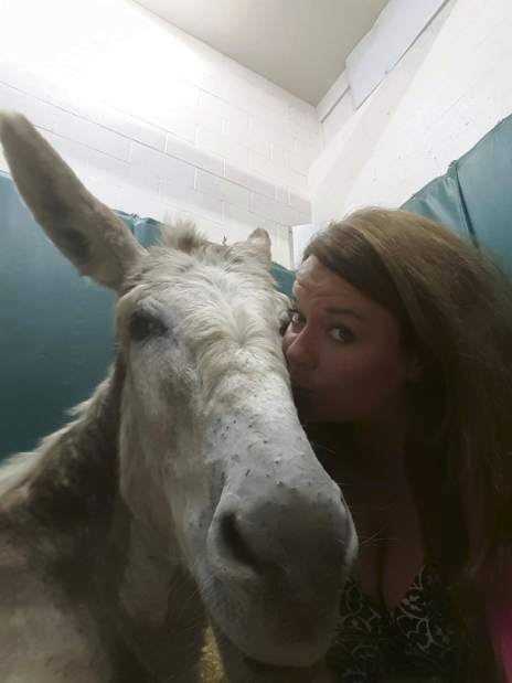 Gtrdonkeysuit2092916