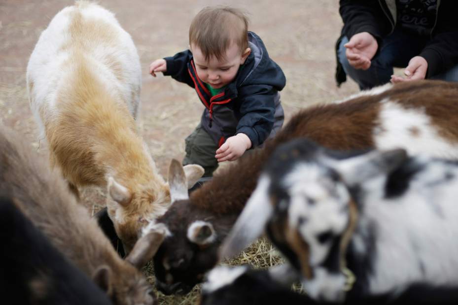 PhiladelphiaChildrensZooJPEG0e565