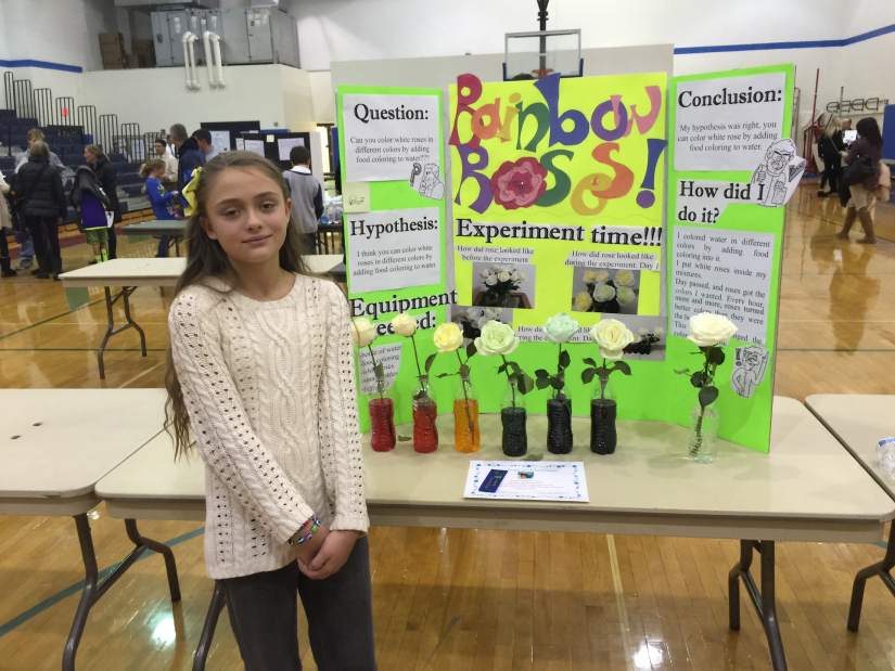 Middle School Science Fair Projects All You Need Infos