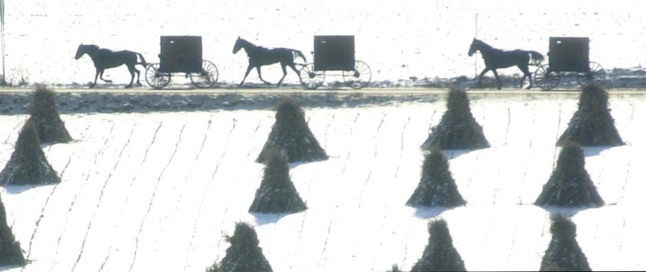 digipix5532a0bwnqsm3x7ejuoriginal