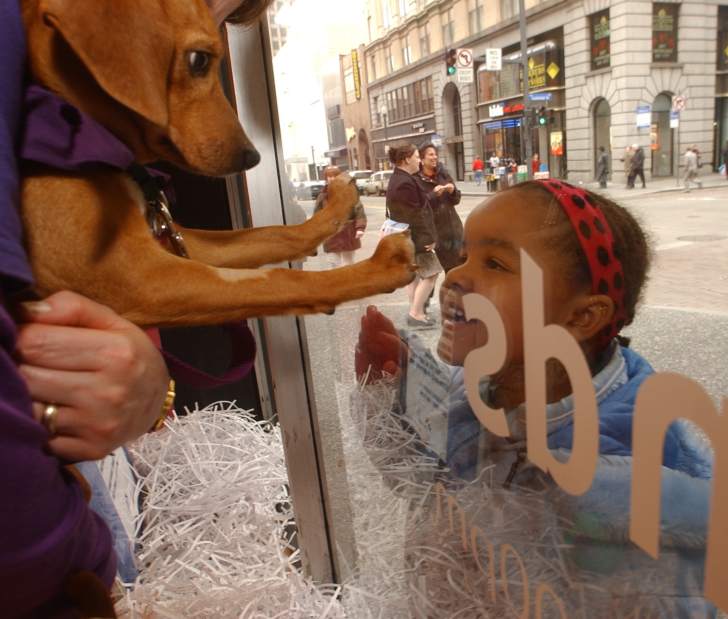 digipix55462n7qcrk1glu4h1mworiginal