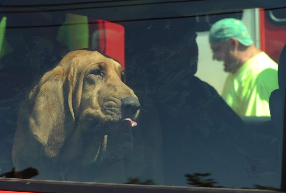 digipix5quqwq4fk44k6w8351roriginal