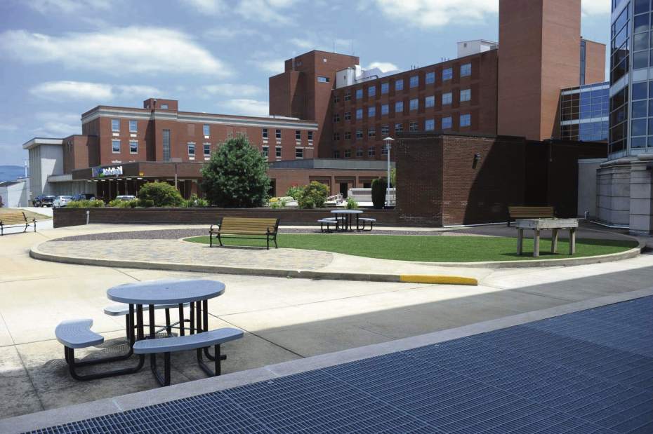 gtrLOhealgarden6072816