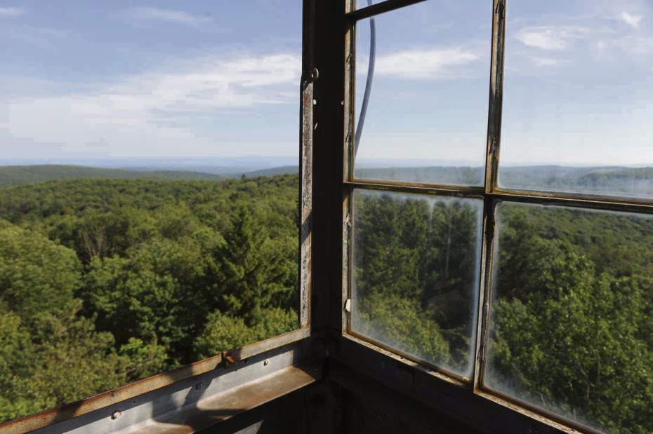 gtrfiretowers1072416