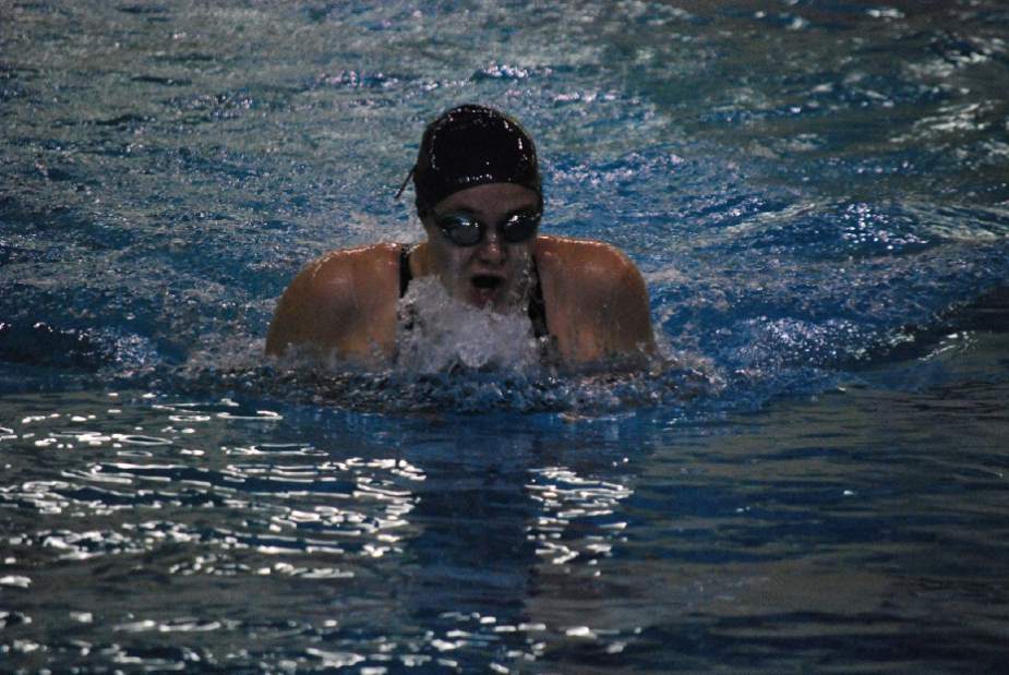 msPIAAswimTower032113