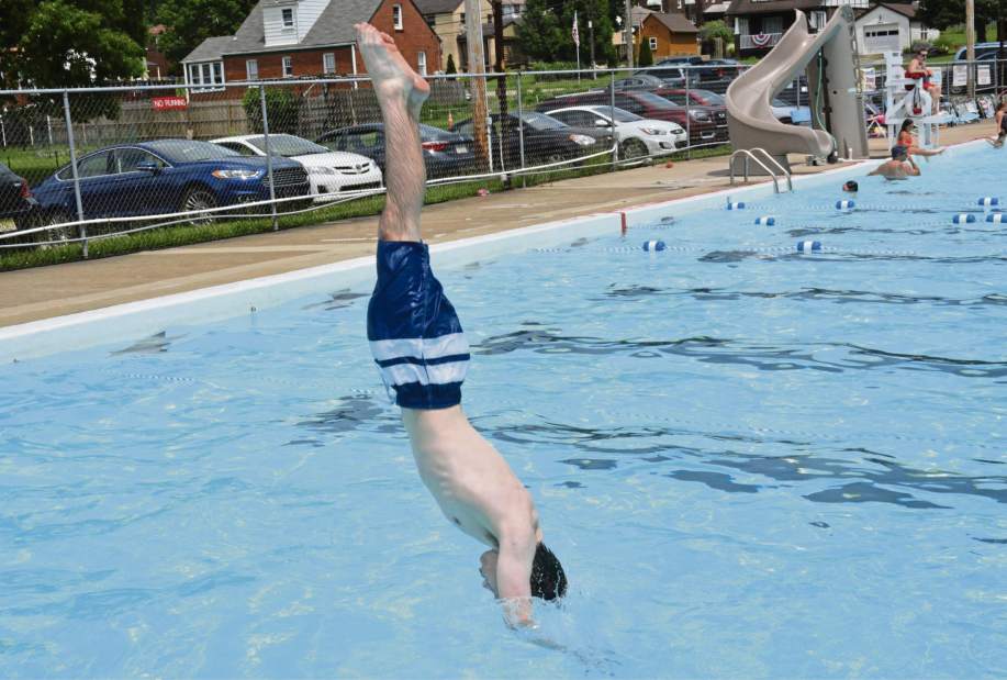 phplorosedale7062217