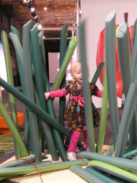 ptrLIVericcarle3052415