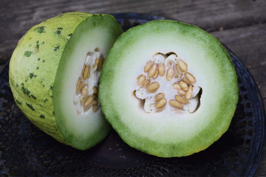 ptrREgardencol061216