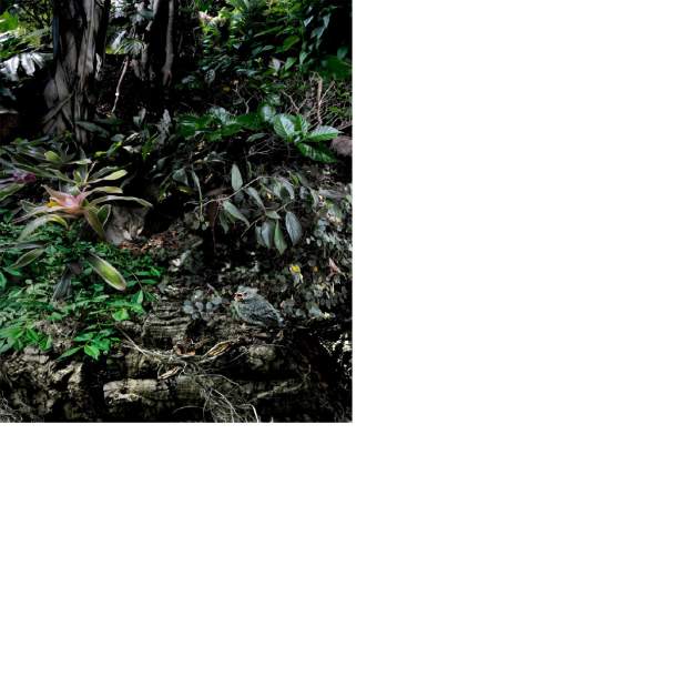 ptrTKARTsmith2090612