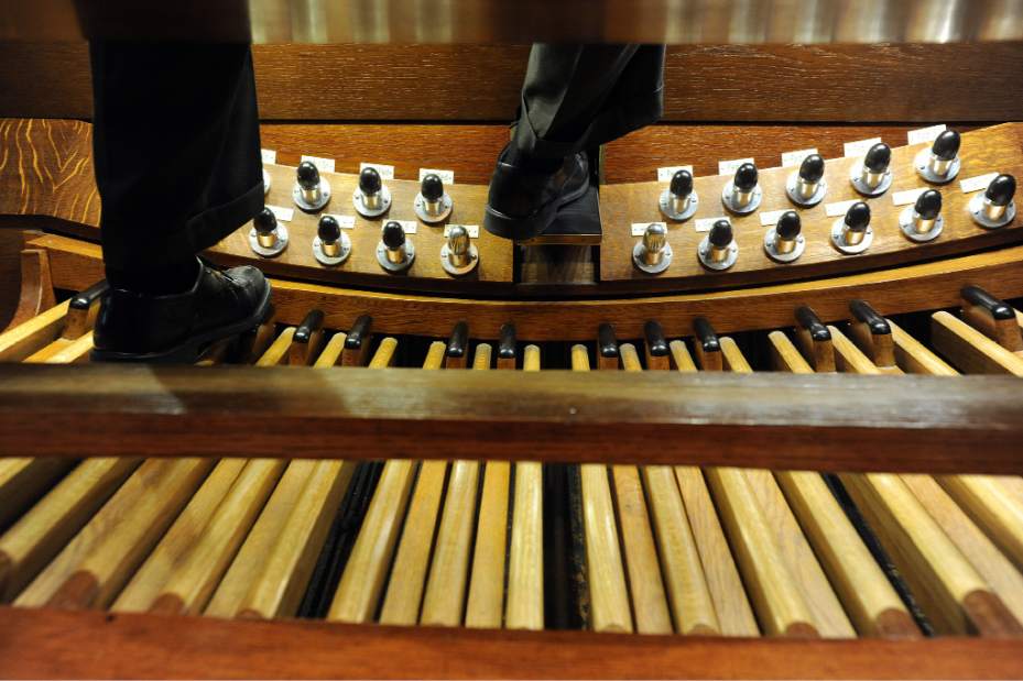 ptrlivpipeorgans3081212