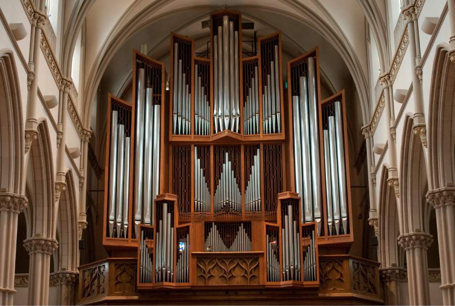 ptrlivpipeorgans5081212