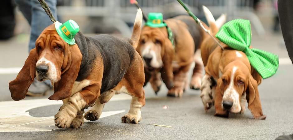 trib698ja3vk0yu126auv47aoriginal