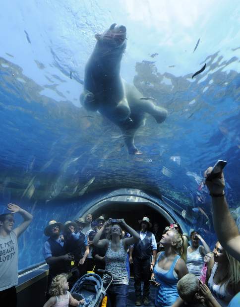 trib6il405qtvkwk7zpw559original