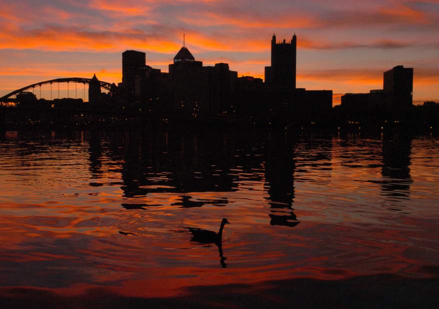 trib6il6fs3o5rboq3a7559original