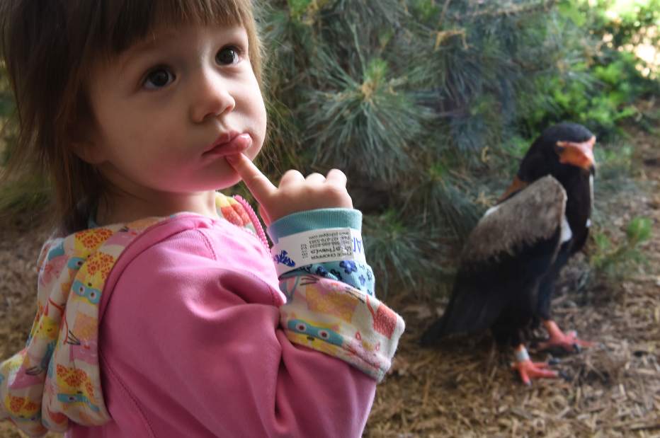 trib6khwmirm68mvtb2z10joriginal