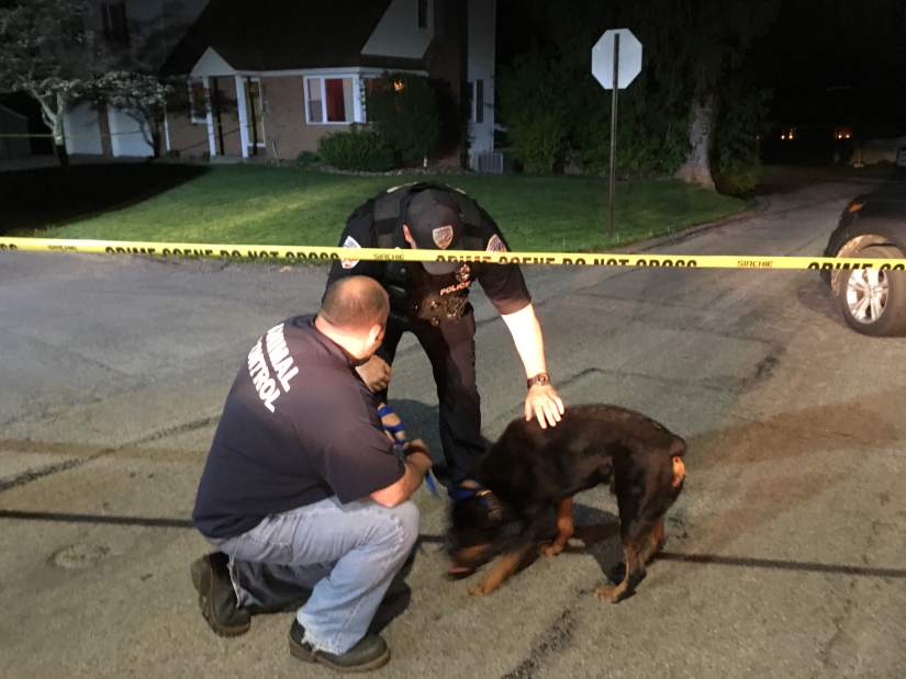 vndLBshooting2051118