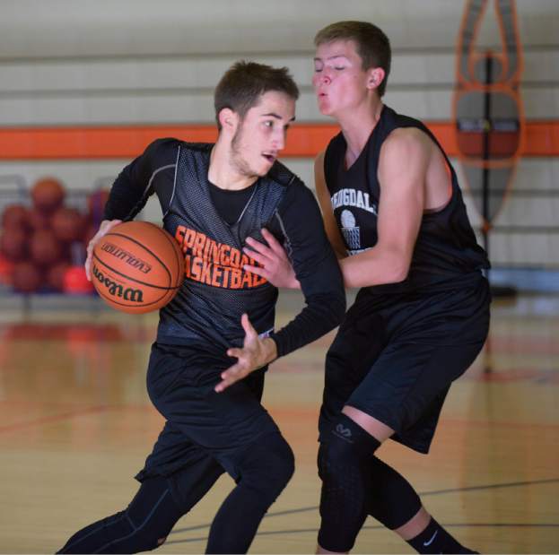 vndspringdaleboysbball008120115