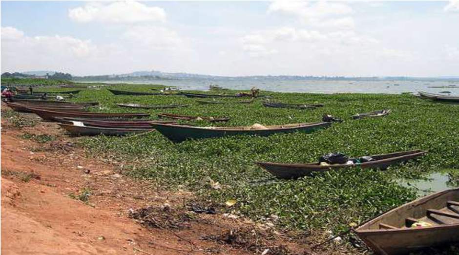 TEHolidaySeries31227122jpg