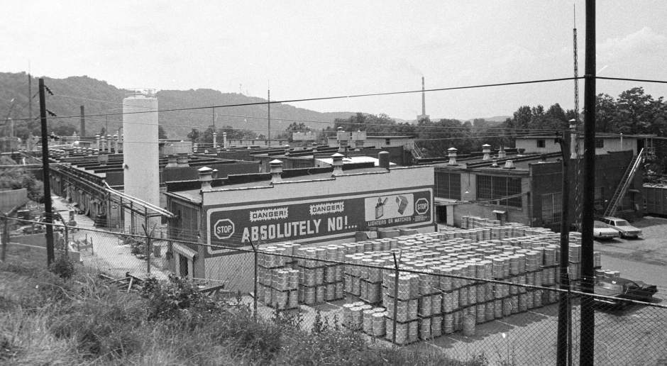 VNDpowderplant7040415jpg