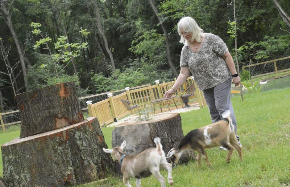 phpgoatupdate6071416jpg