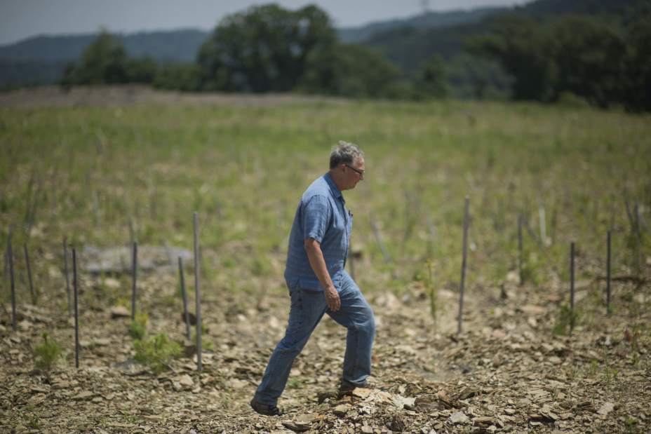 ptrreclaim03071016jpg