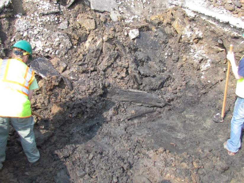 ptsBushyRun062713jpg