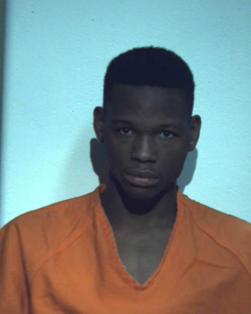 vidorianellis111413jpg